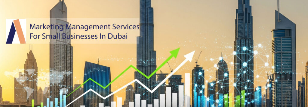 Marketing Management Services for Dubai Small Business with Affordable ...